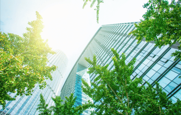 The Green Advantage: Property Value and Tax Incentives | Environmental ...