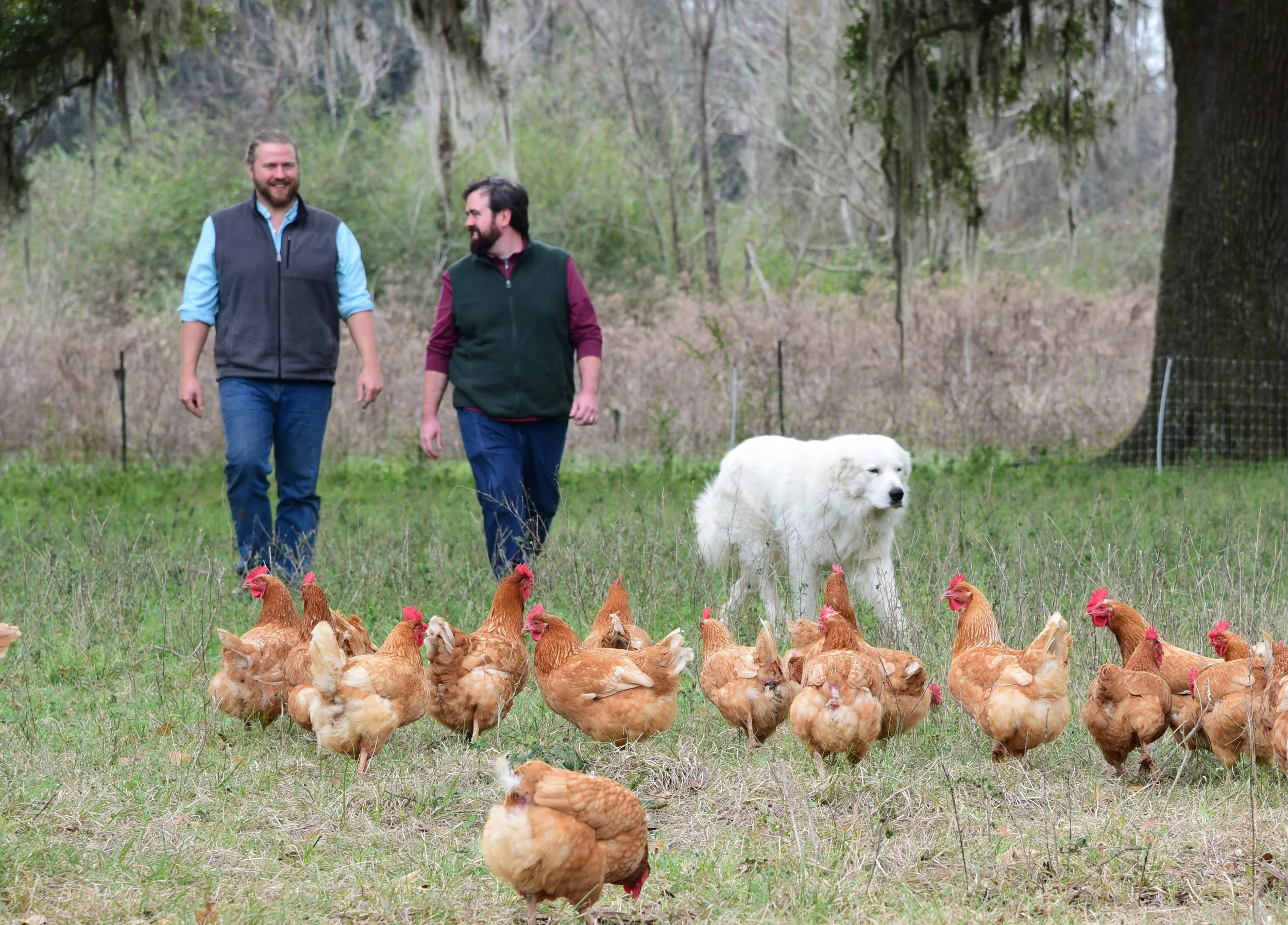 Practices — Schmoe Farm