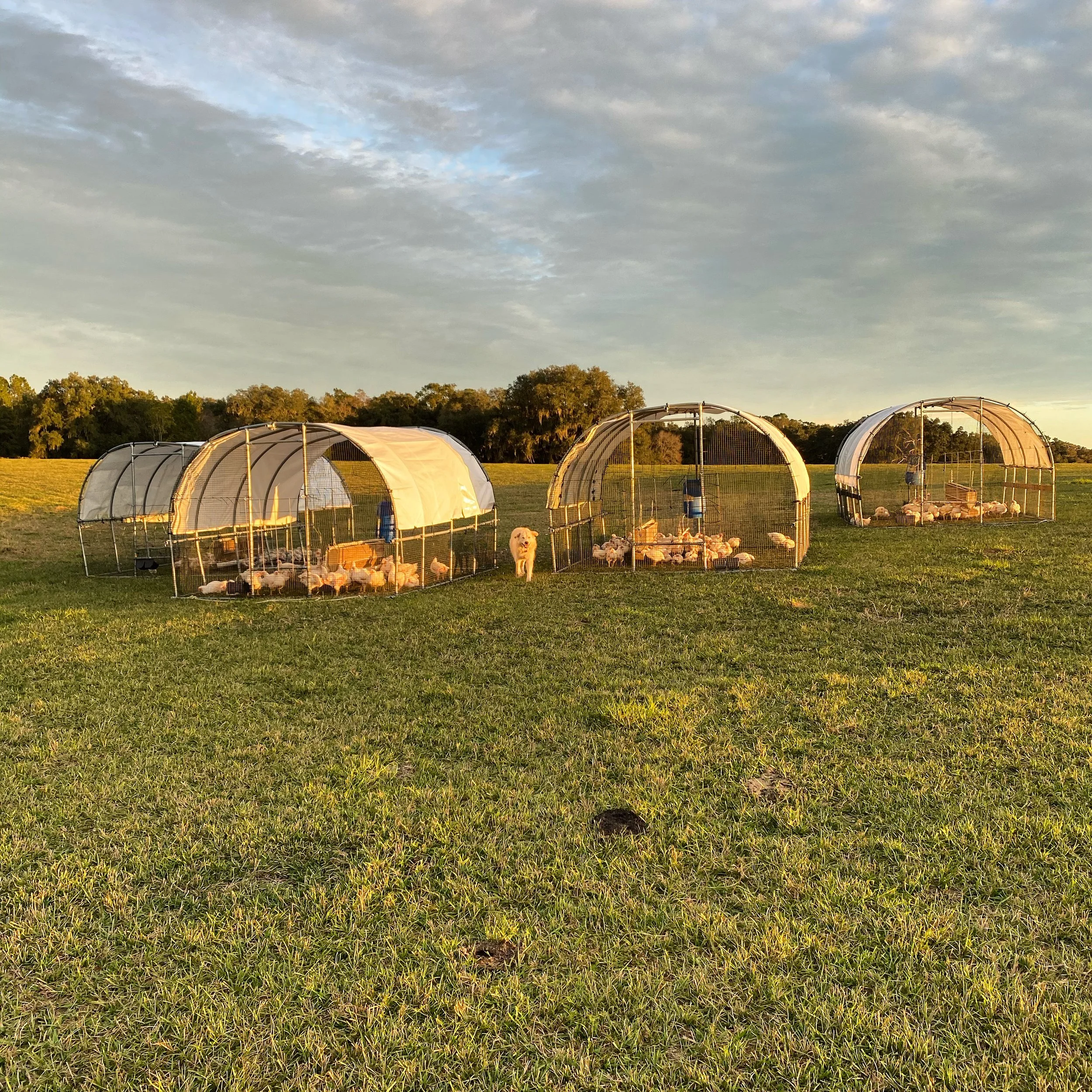 Practices — Schmoe Farm