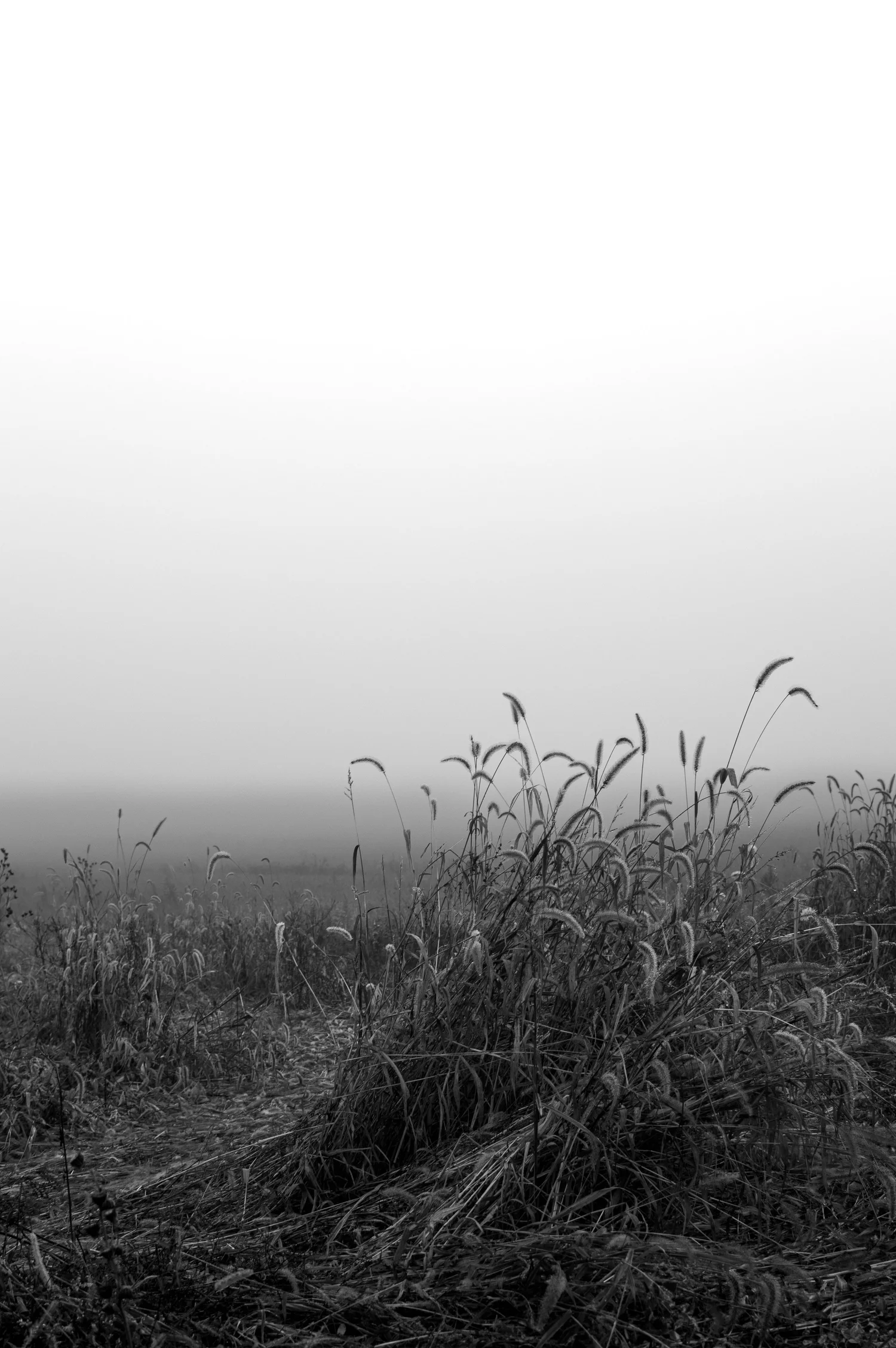 Photography and Mental Health Taboos: Breaking the Silence Through ...