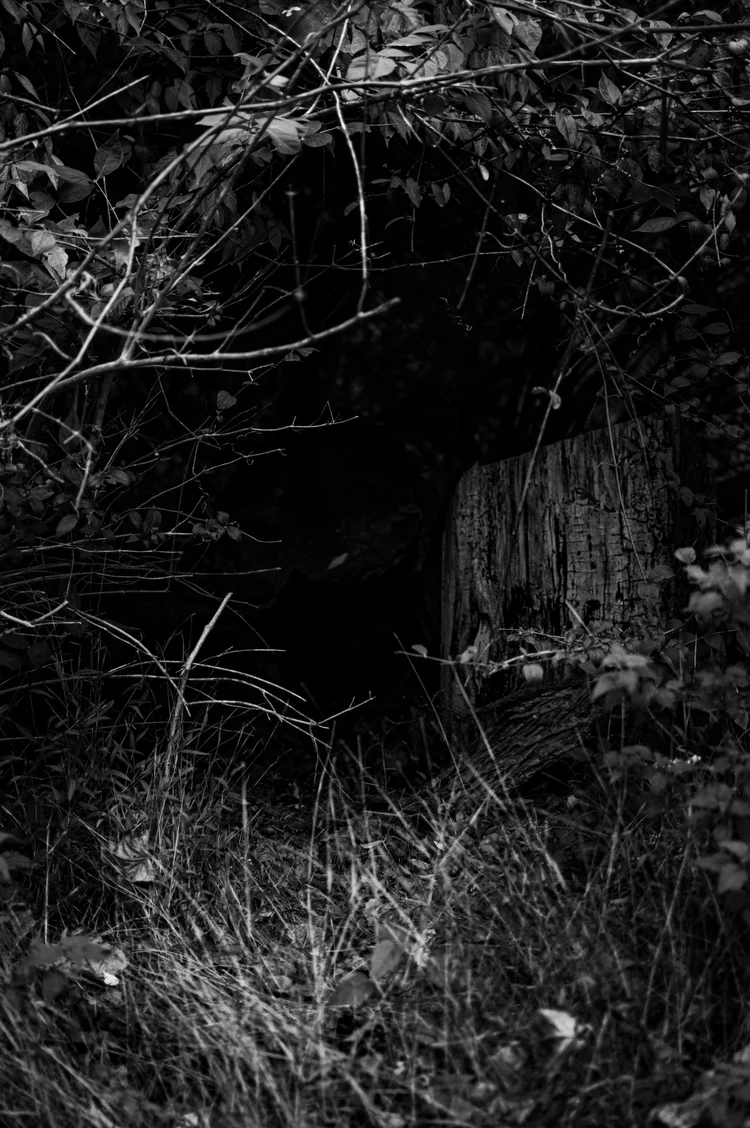 Photography and Mental Health Taboos: Breaking the Silence Through ...