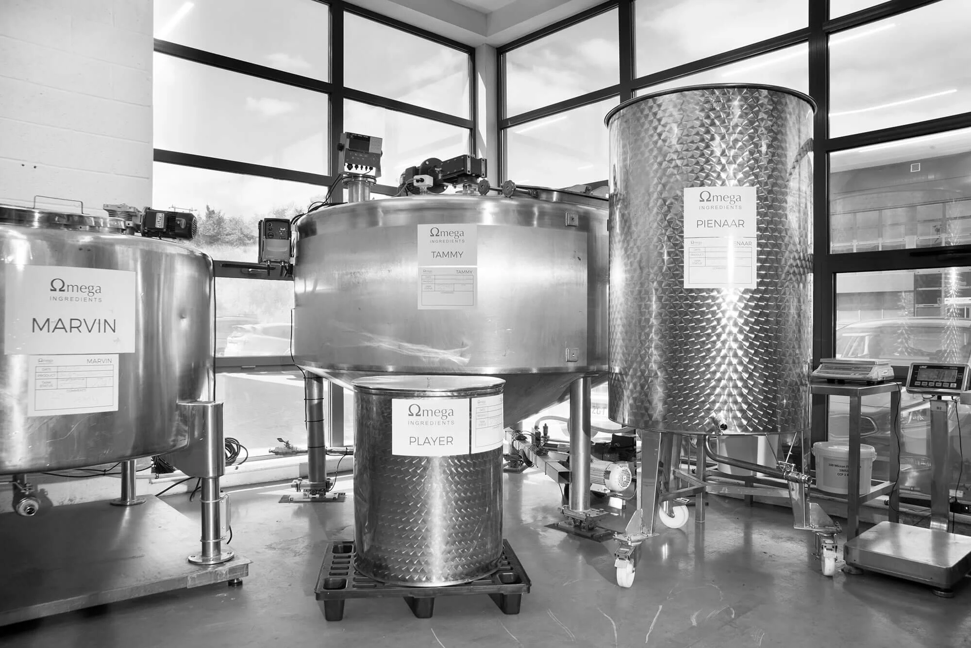 What We Do — Omega Ingredients