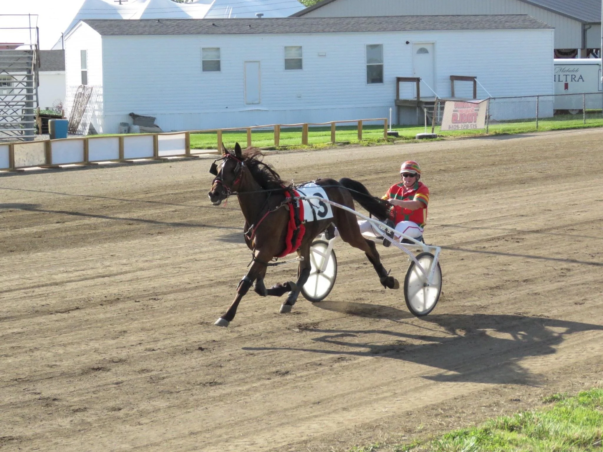 Harness Racing — Macoupin County Fair