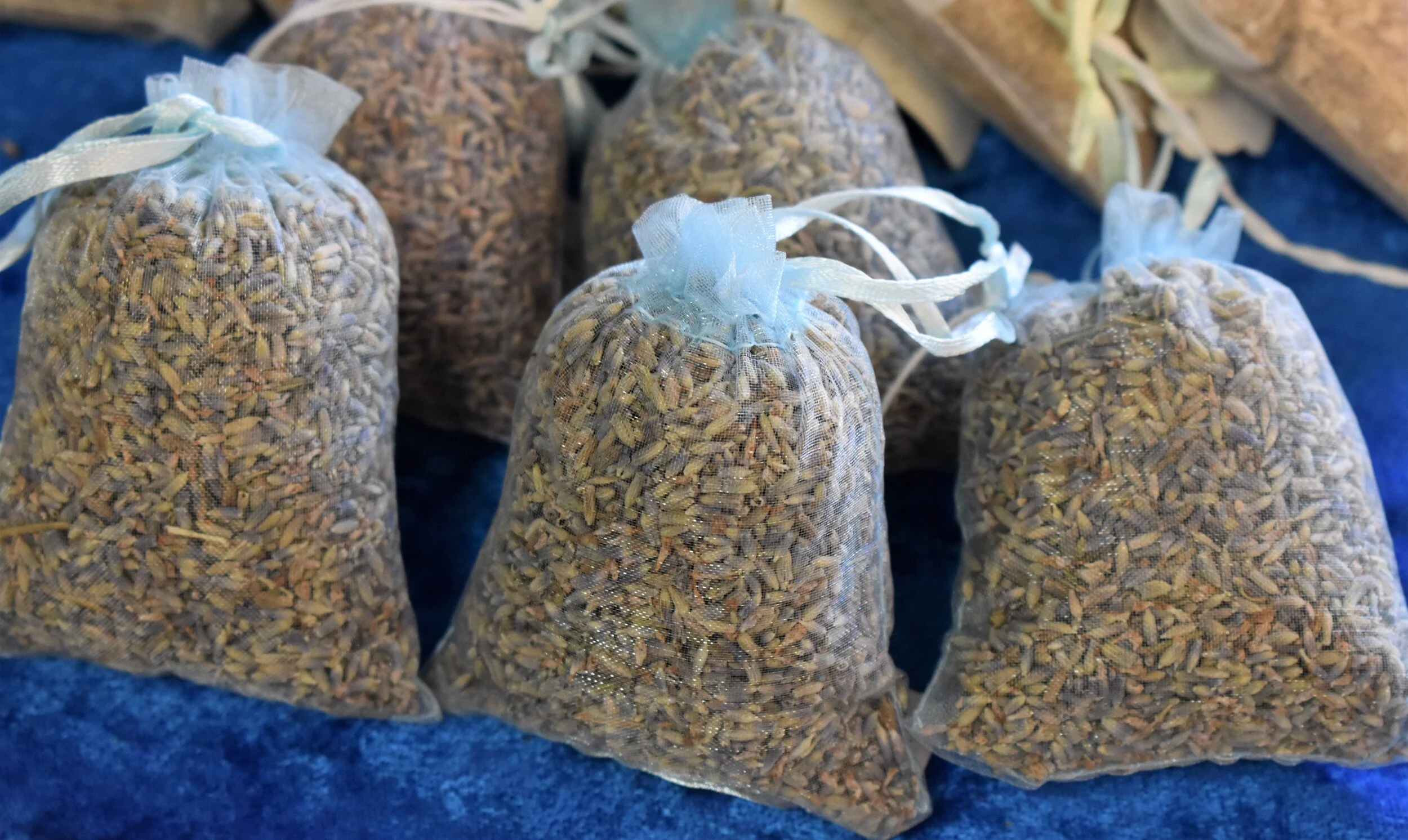 Our selection of herbs for purification, health and magic. — Eclectic ...