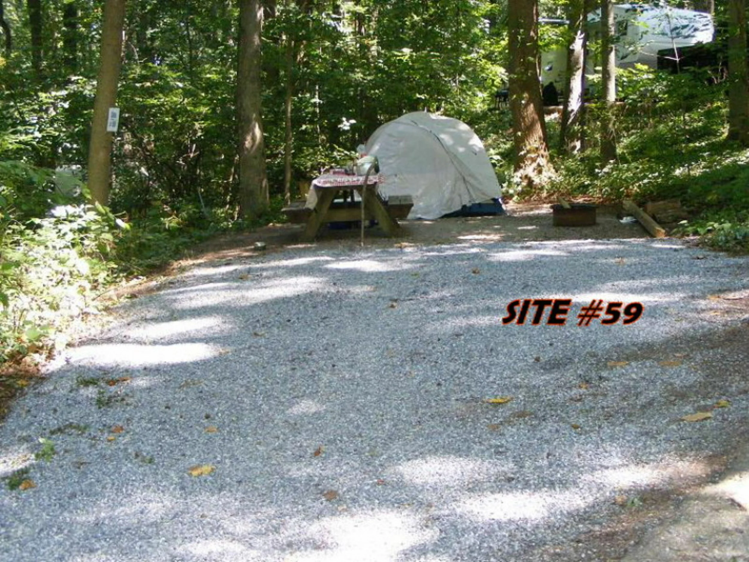 Site #59 — The Loose Caboose Campground