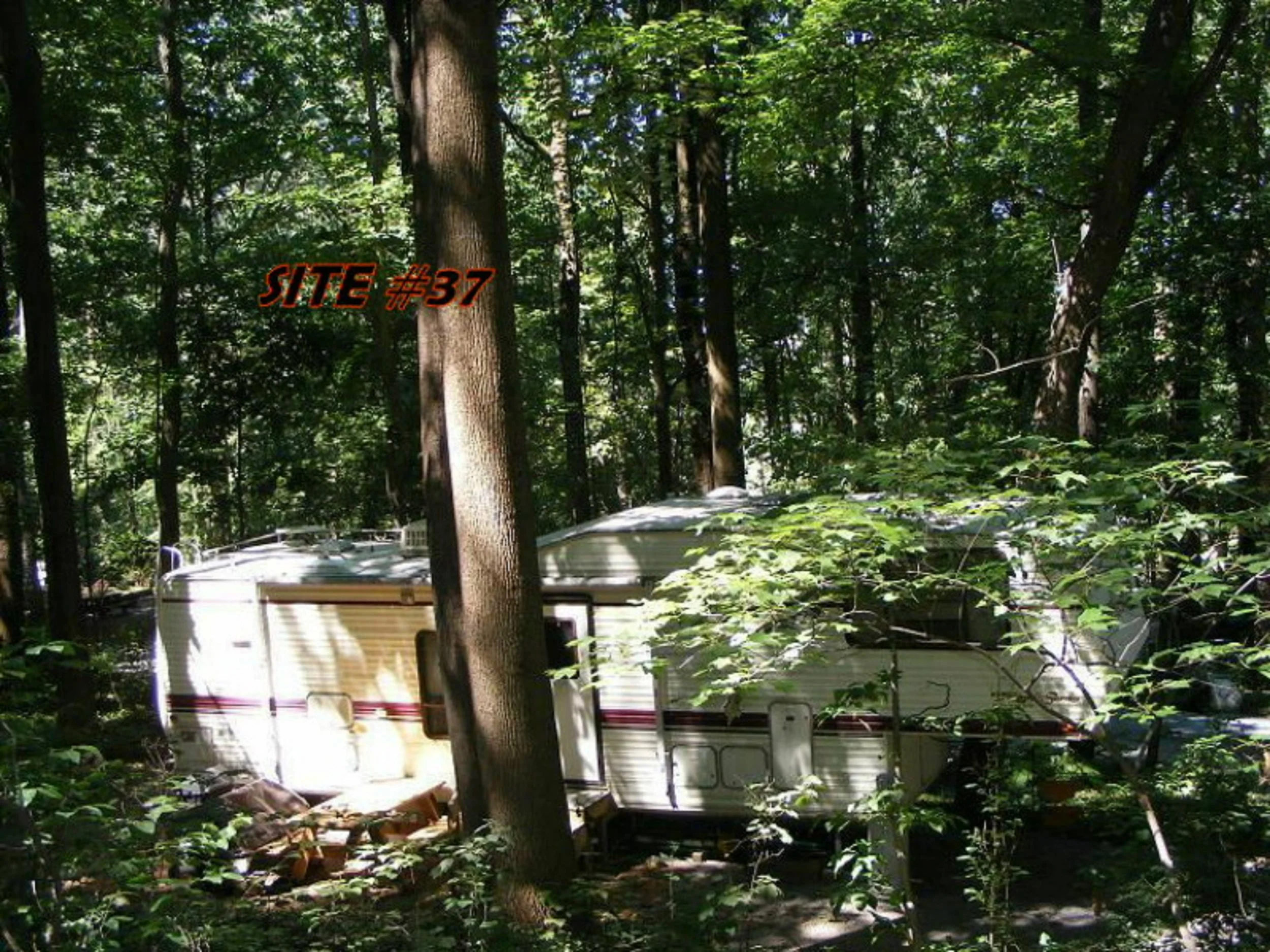 Site #37 — The Loose Caboose Campground