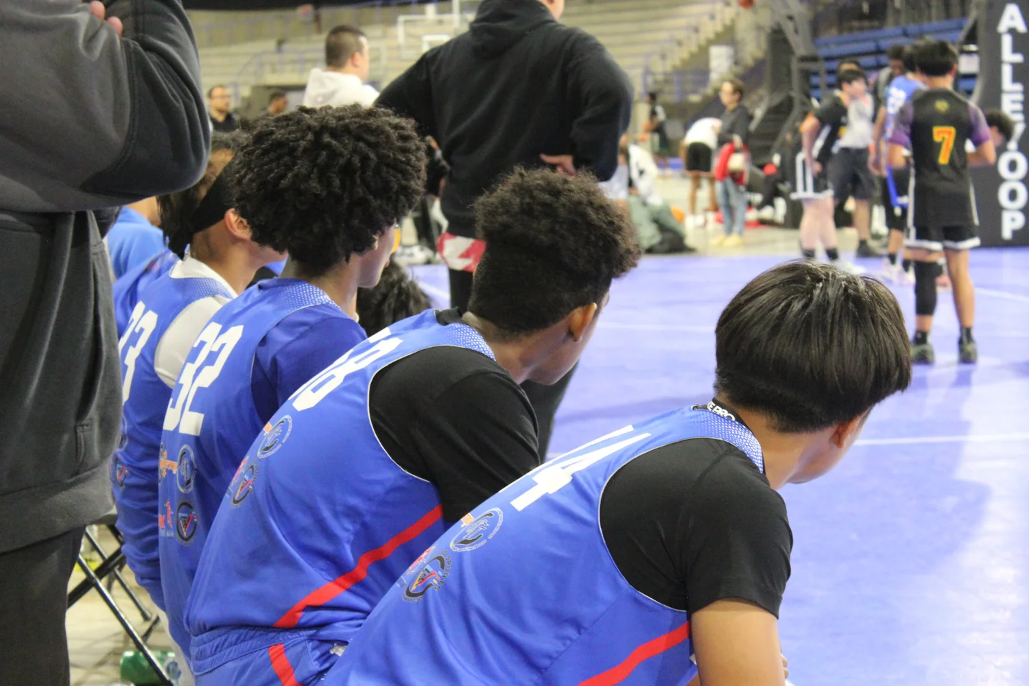 Blizzards Basketball