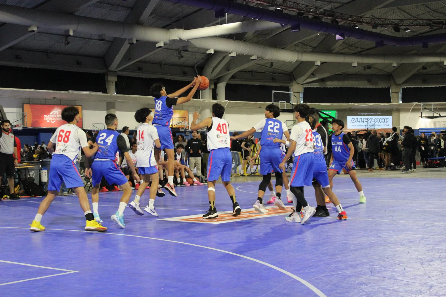 Blizzards Basketball