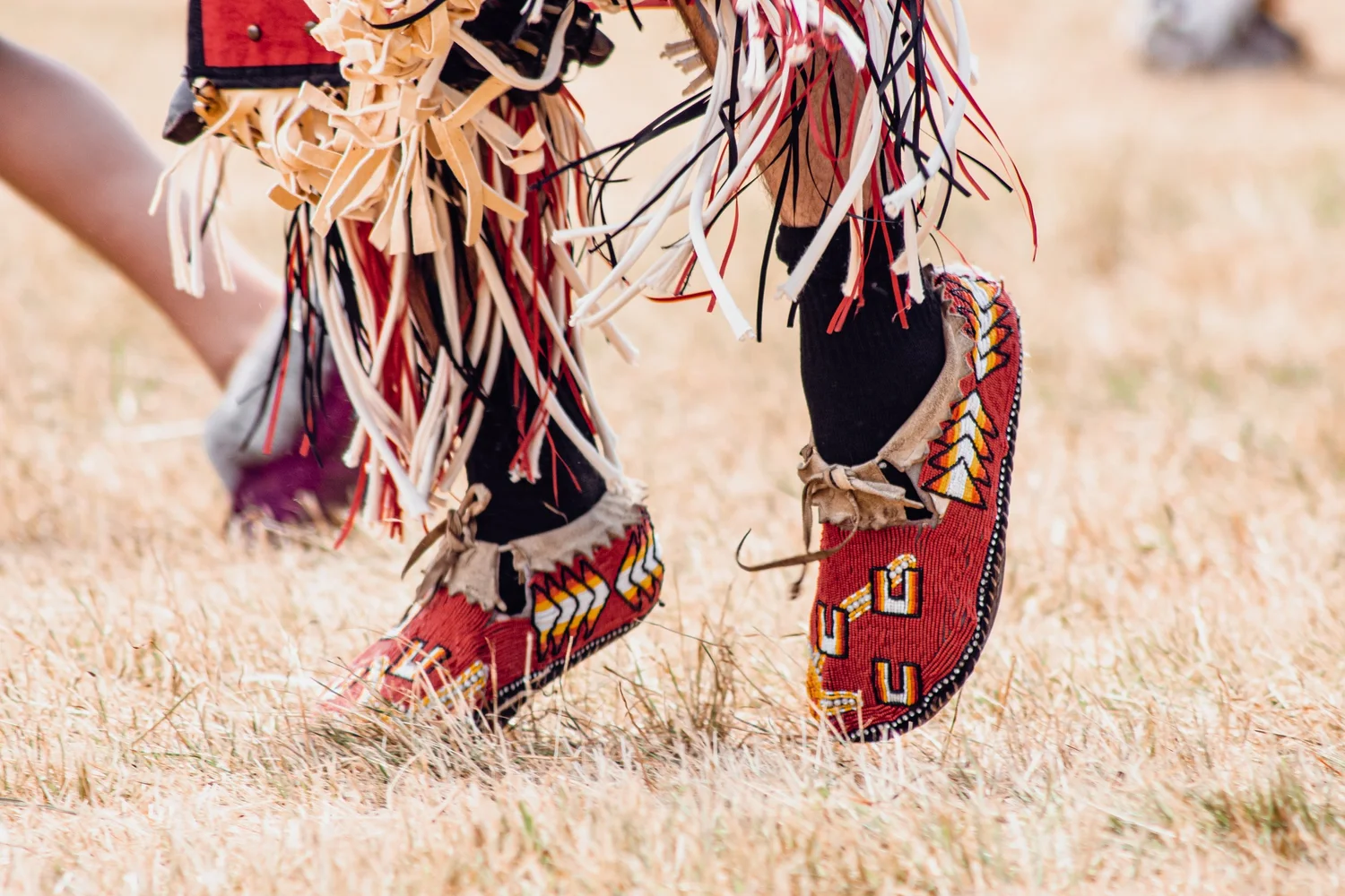 Stalew Pow Wow