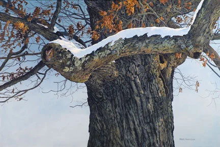 Lookbook — Mark Anderson Fine Art