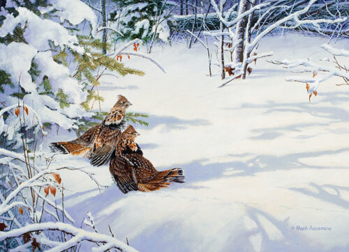 Lookbook — Mark Anderson Fine Art