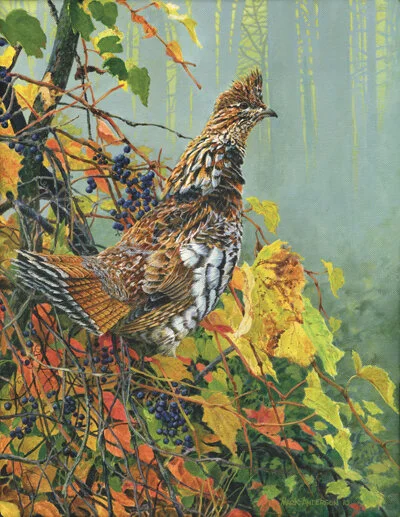 Lookbook — Mark Anderson Fine Art