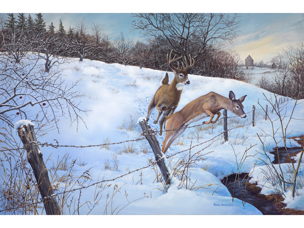 Mark Anderson Fine Art