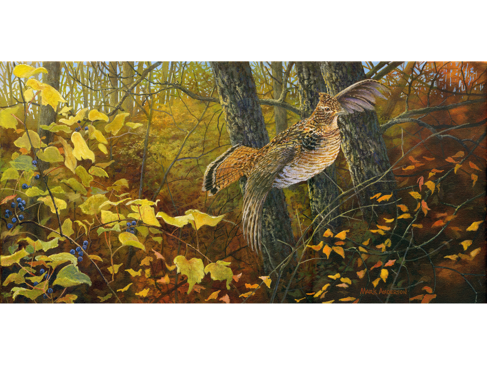 Mark Anderson Fine Art