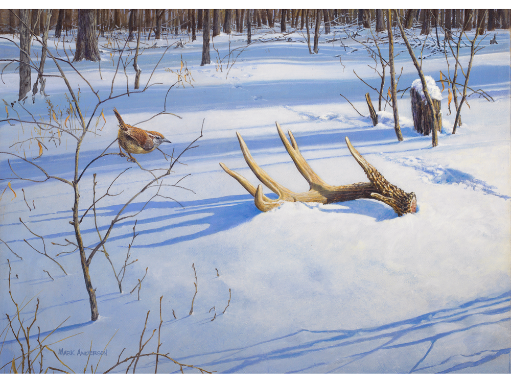 Mark Anderson Fine Art