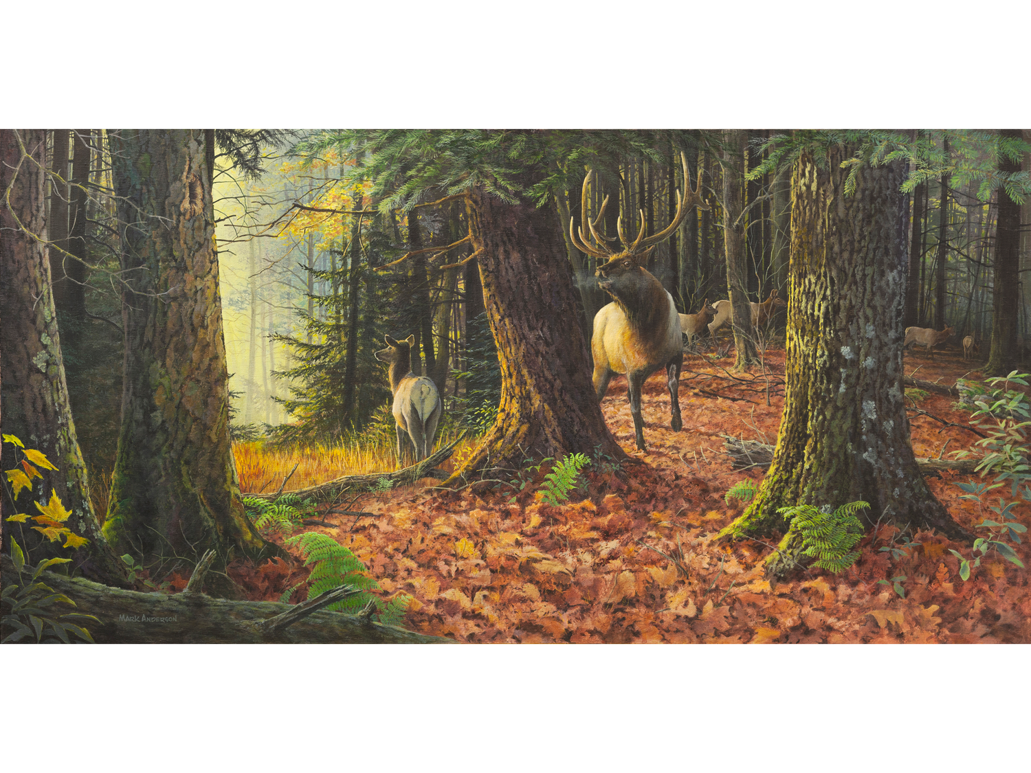 Mark Anderson Fine Art