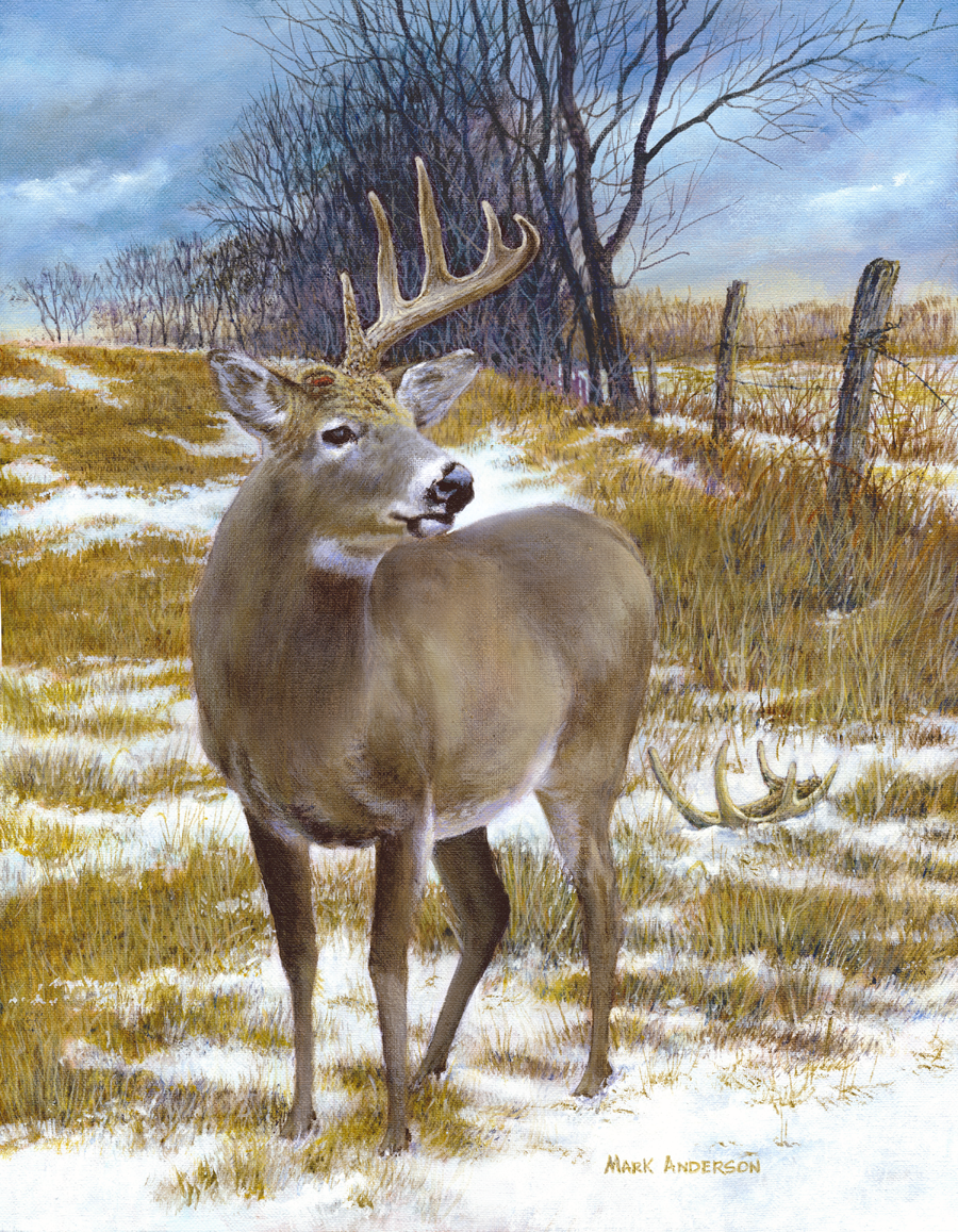Mark Anderson Fine Art