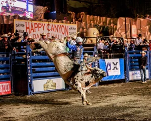 Top 5 Rodeo Towns to Visit This Summer — Western Life & Style