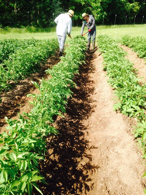 All Season's Farm