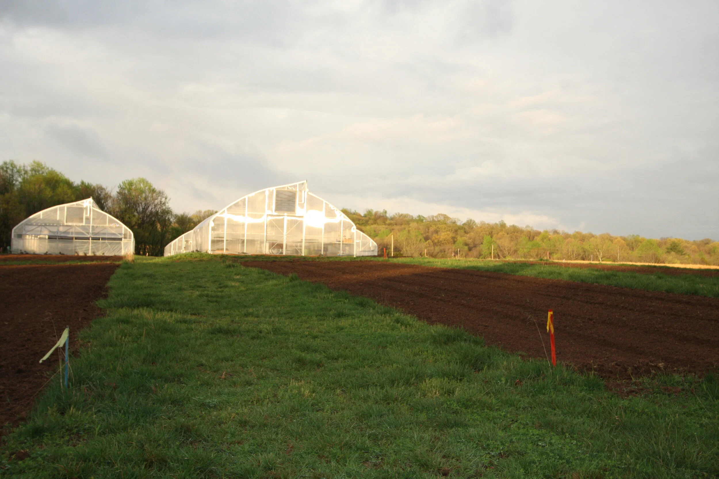 Gallery — All Season's Farm