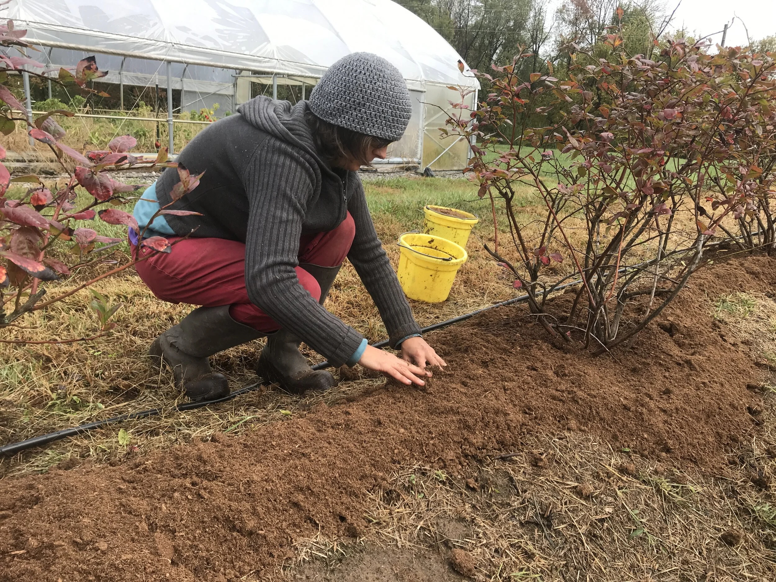 Gallery — All Season's Farm