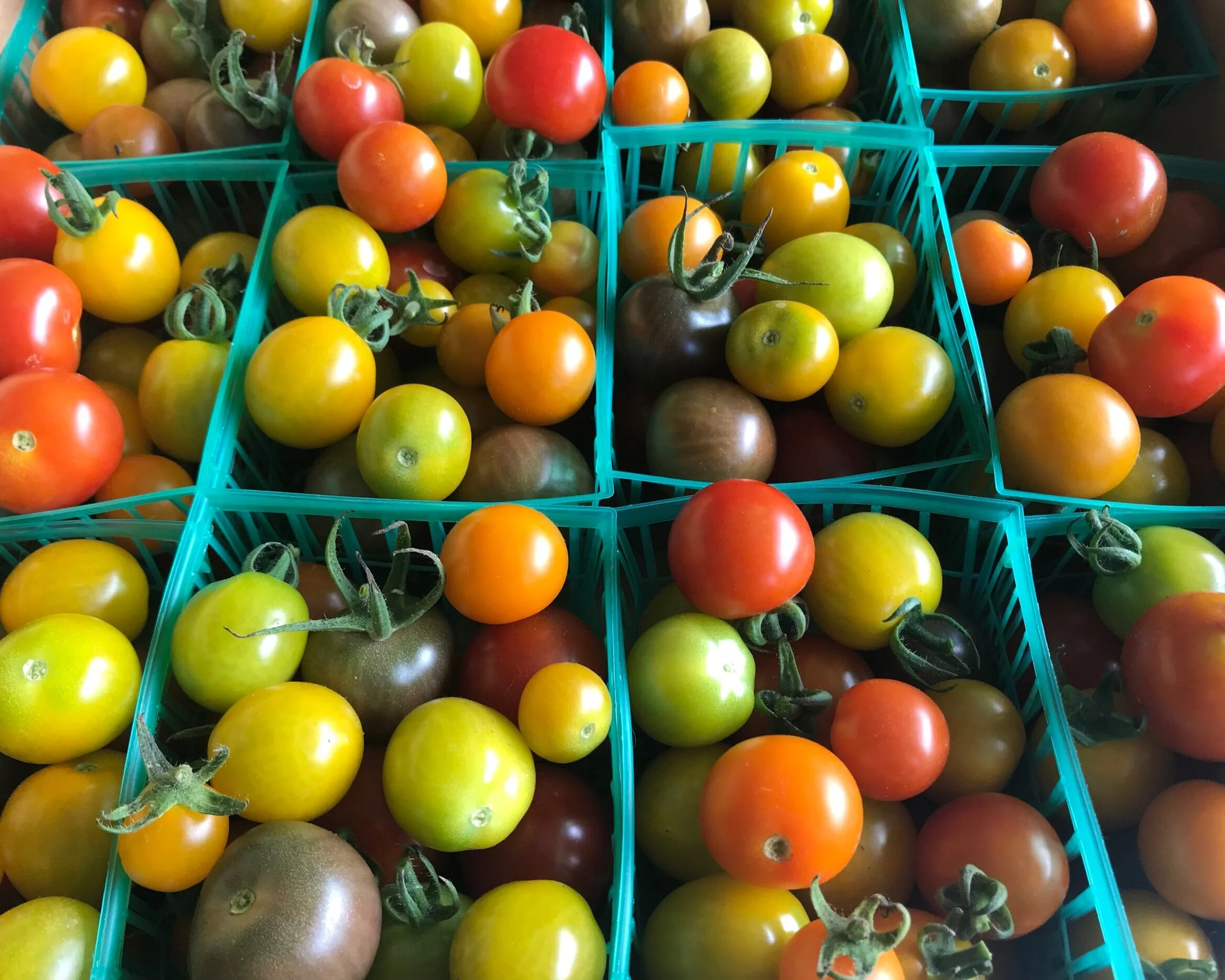 All Season's Farm