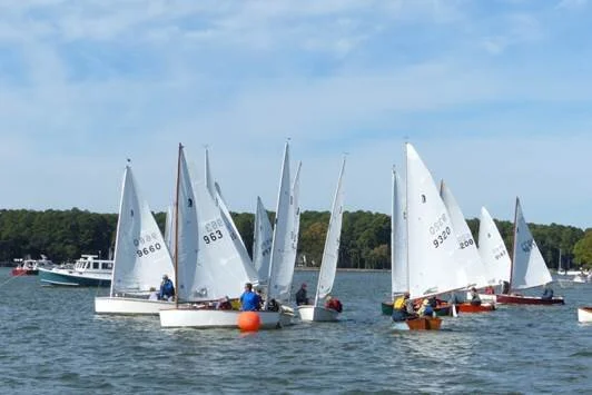 Penguin Sails — JENKINS SAILS