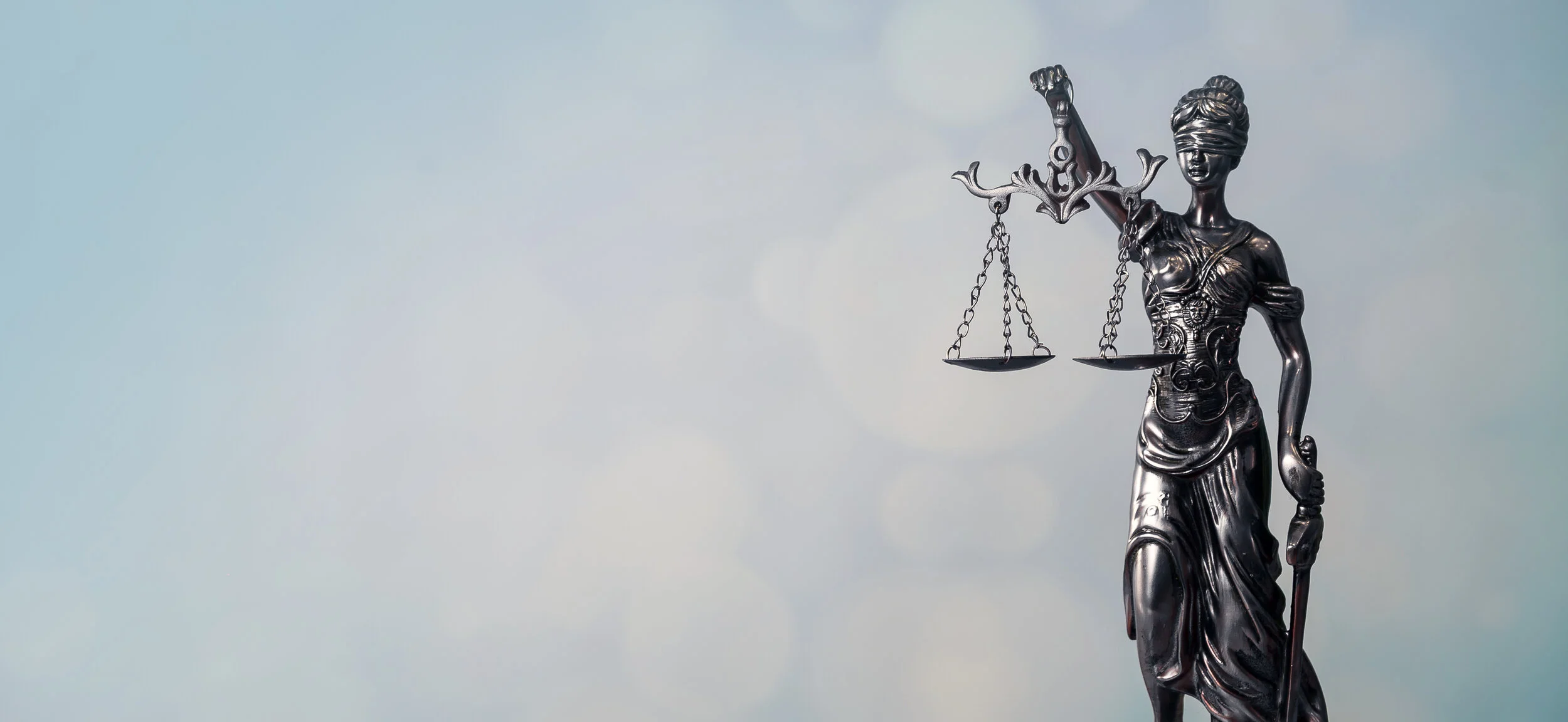 Pretorius Attorneys Inc.