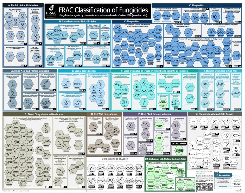 What is a FRAC group? — The Almond Doctor