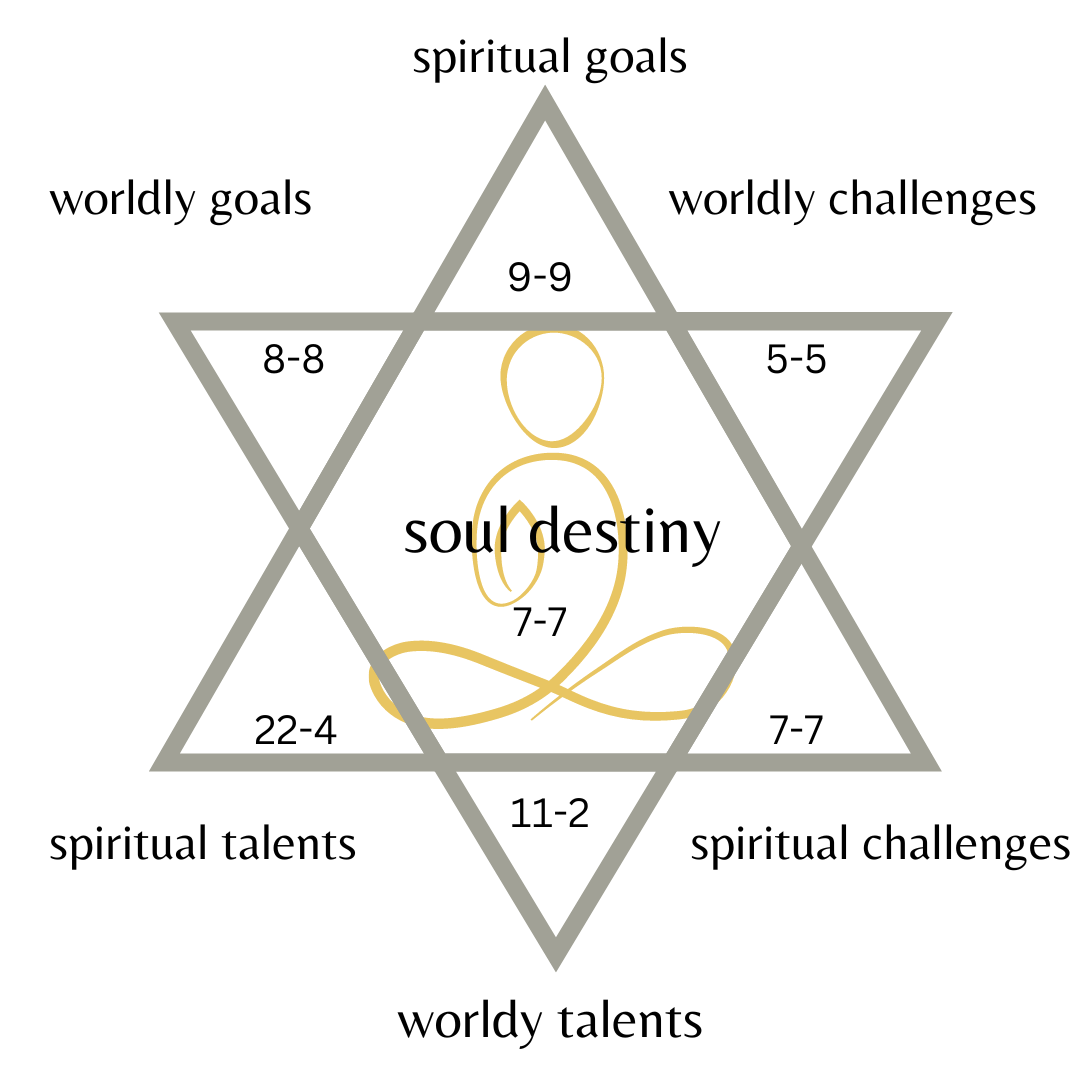 Soul Plan Journey | Discover Your Purpose Now — Nikki Leader