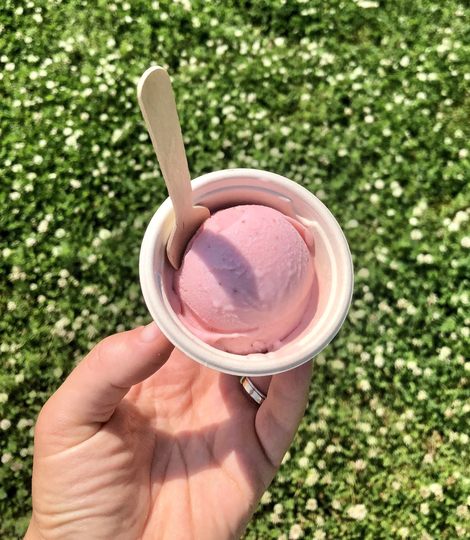 Super Secret Ice Cream Club