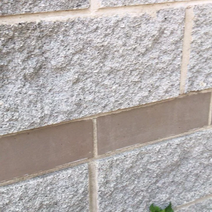 US-BES | Architecture, Restoration, and Construction Chicago