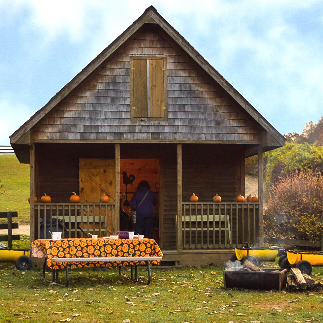 Liberty Ridge Farm | Fall Family Fun | Upstate NY Destination