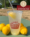 Fresh Squeezed Lemonade — Liberty Ridge Farm | Family Things to Do ...