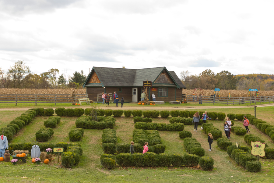 Hedge Maze — Liberty Ridge Farm | Family Things to Do | Albany, NY ...
