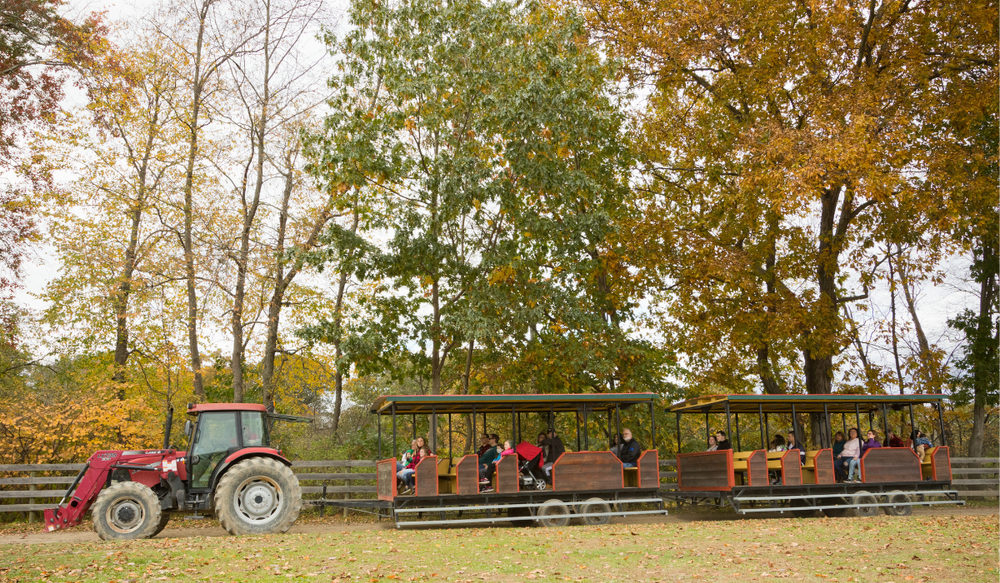 Trolley Rides — Liberty Ridge Farm | Family Things to Do | Albany, NY ...