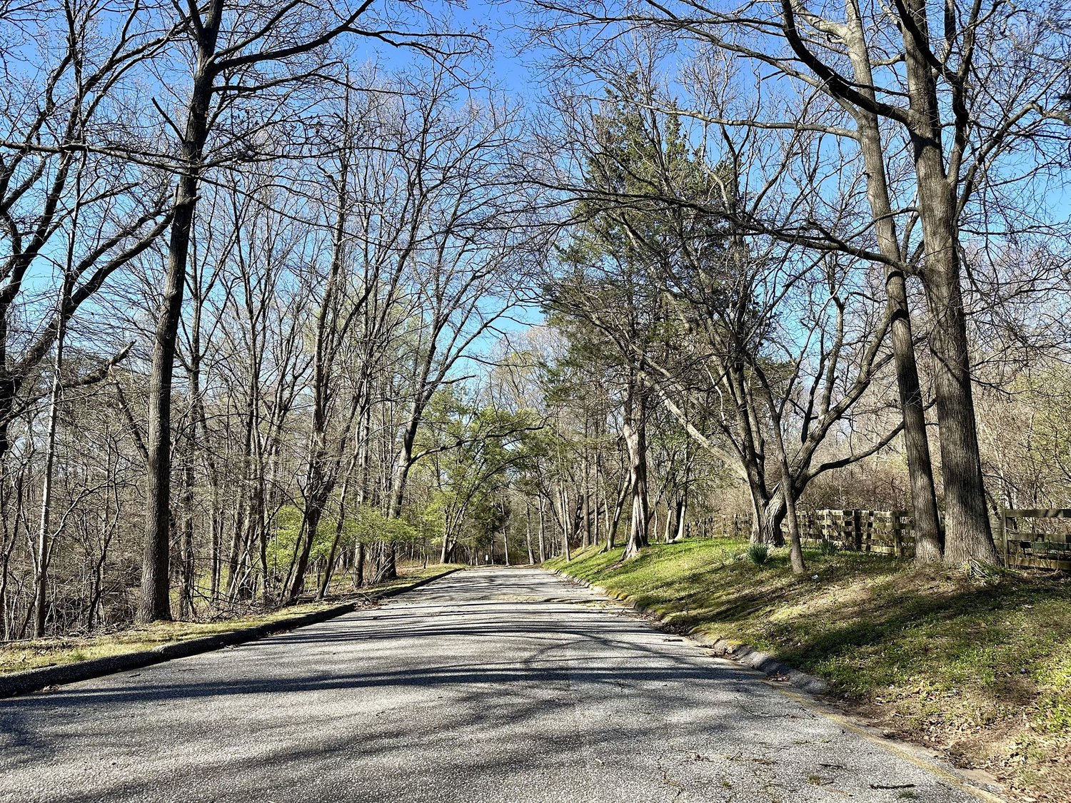 The Mandala School - Bowie, MD — The Mandala School