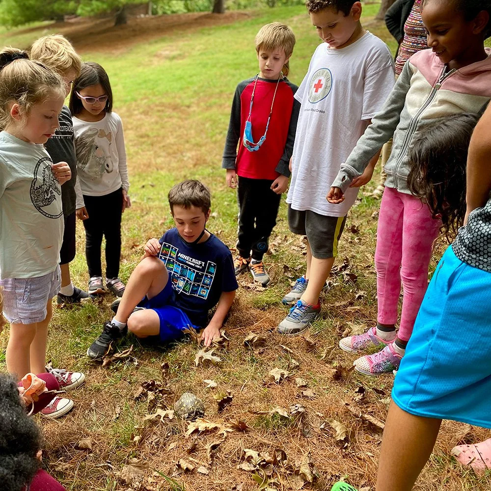 Overview — The Mandala School