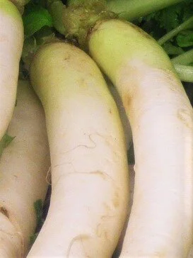 Learning Center — Ethos Primary Care