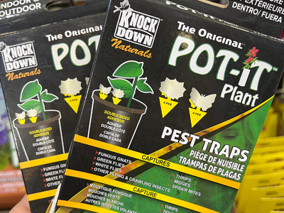 4 Ways to Kill Plant Pests — Spruce It Up Garden Centre