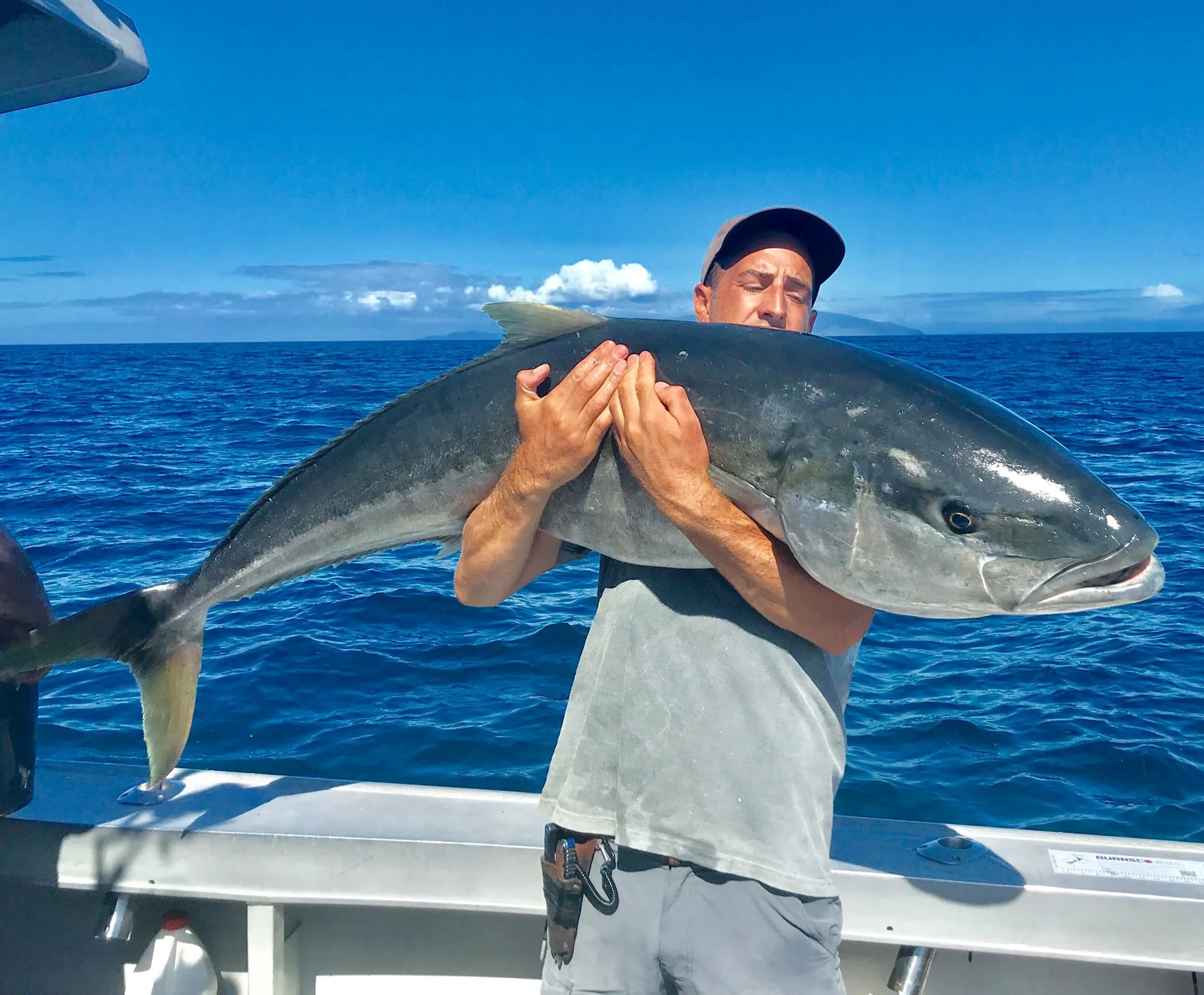 About Auckland's Favorite Charters — Ultimate Charters