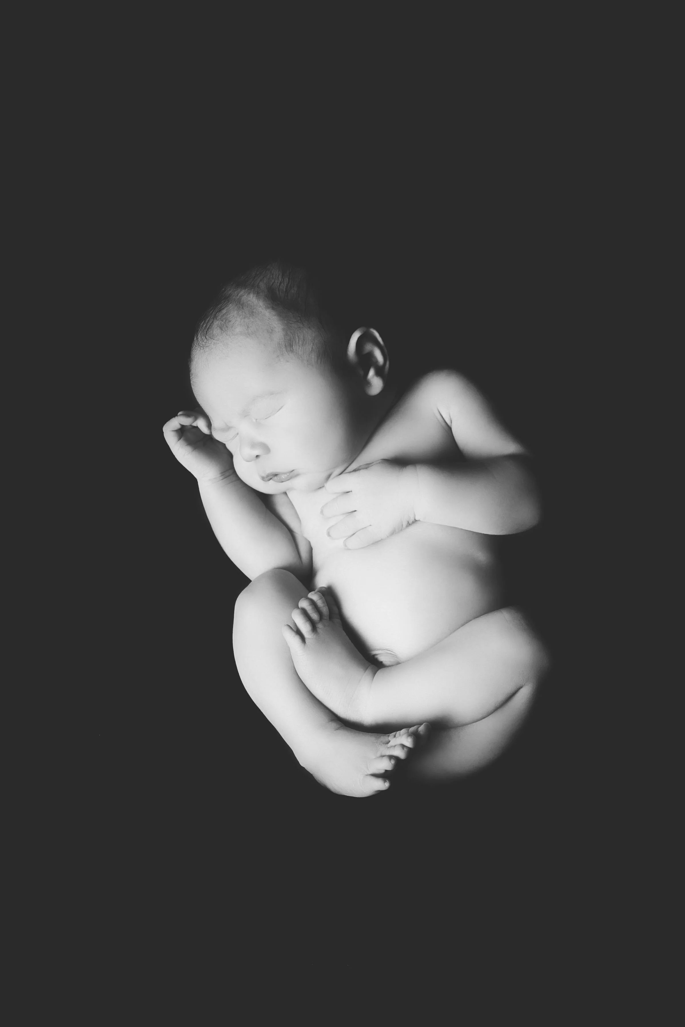 Newborn Packages — Orlando Newborn Family Photographer, Maternity ...