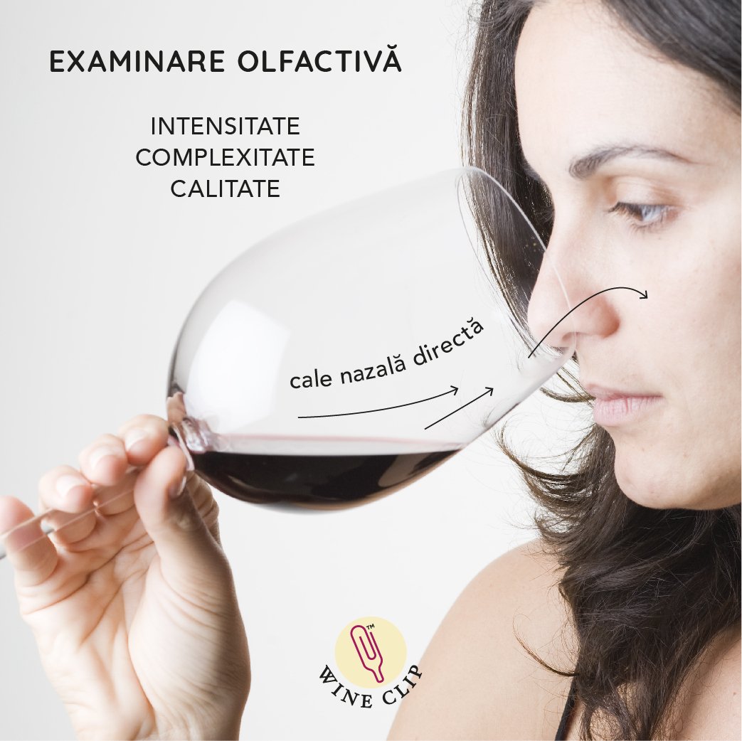 Examinare olfactivă — Wine Clip