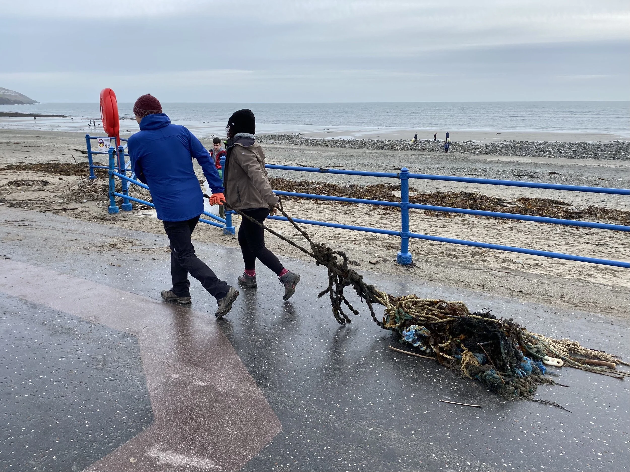 PlasticBusters & Beach Buddies joint record-breaking cleanup ...