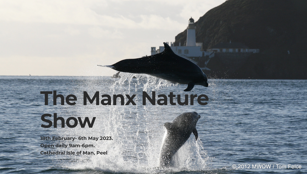 PlasticBusters at the Manx Nature Show — PlasticBusters