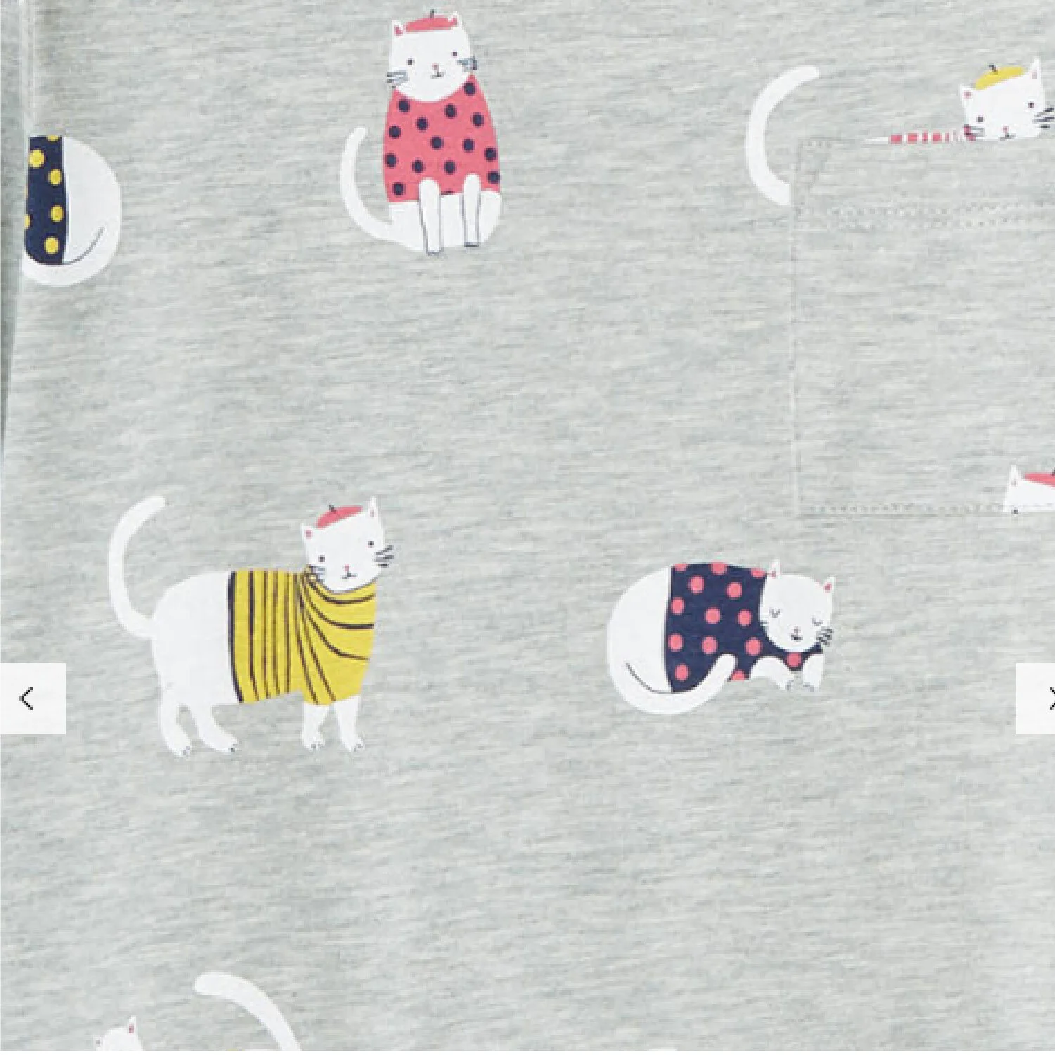 Courtney Goldstein-portfolio