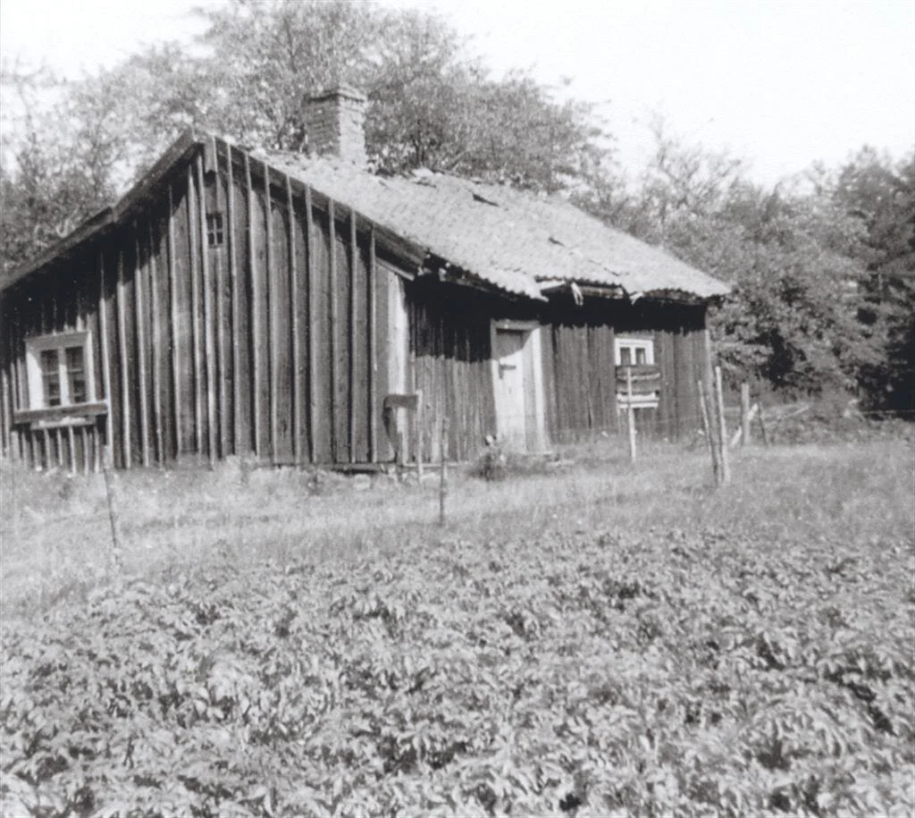 Björkhagen — Torsöhistoria