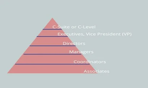 What am I? What are they? — Telma Sullivan ~ CAREER COACHING