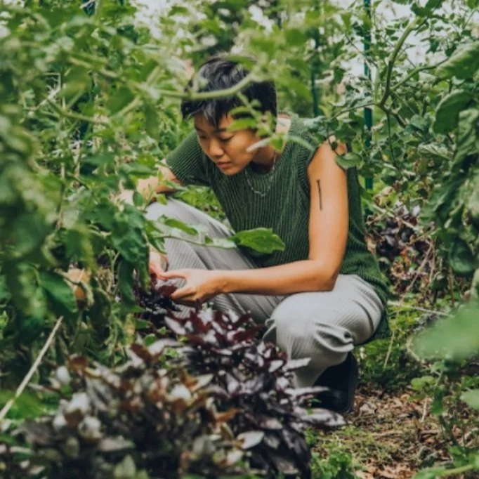 Fly In Power — Red Canary Song