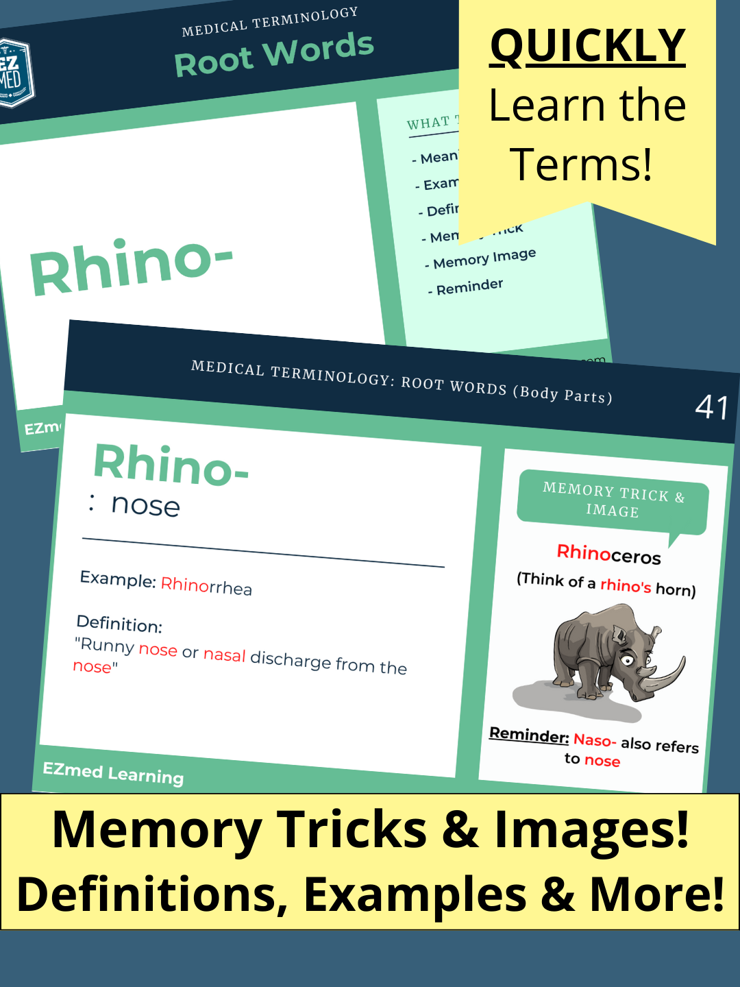 Medical Terminology Root Word Flashcards Examples Meanings medical-terminology-root-word-flashcards-examples-meanings